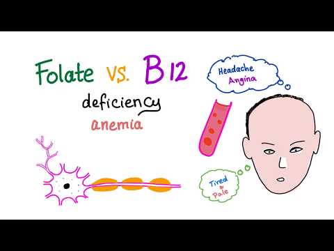 Folate Deficiency vs. Vitamin B12 Deficiency - Diet and Nutrition - Hematology