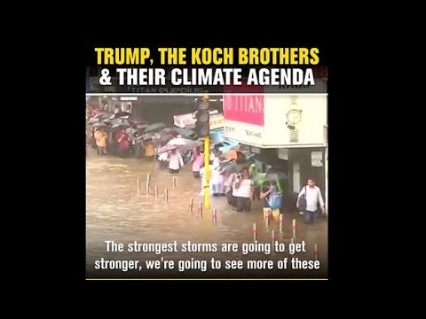 Quick Hit Video: Trump, The Koch Brothers and Their War on Climate Science