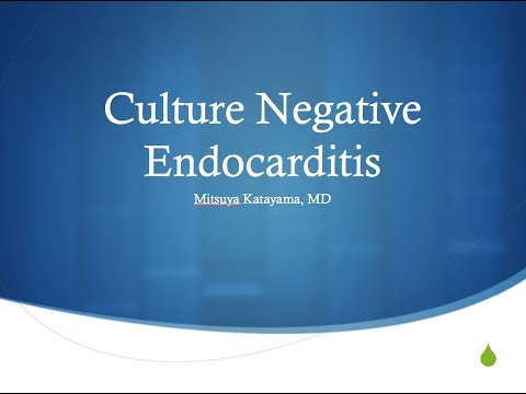 Culture Negative Endocarditis -- Mitsuya Katayama, MD