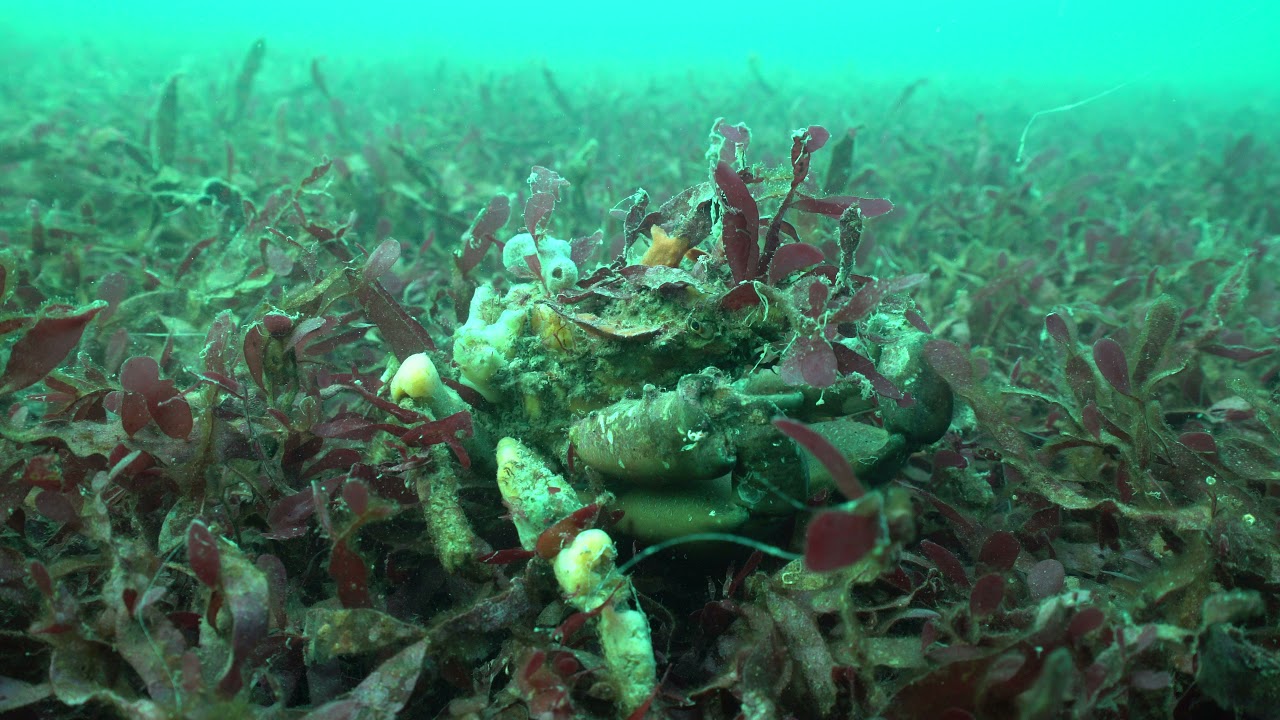 New Report highlights human impacts on Harbour Health – Levin News