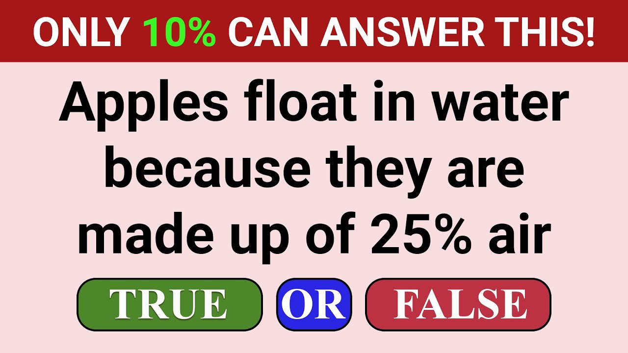 True or False Quiz | Test Your Knowledge #4