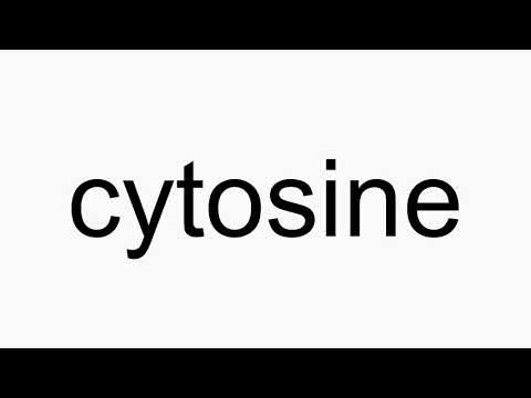 How to pronounce cytosine