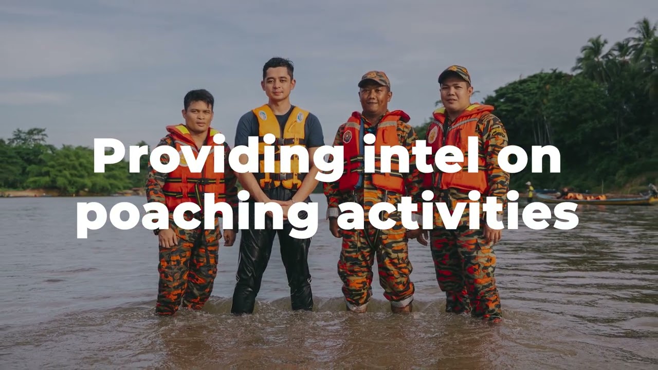 Malaysia Day 2022-Save the Malayan Tigers