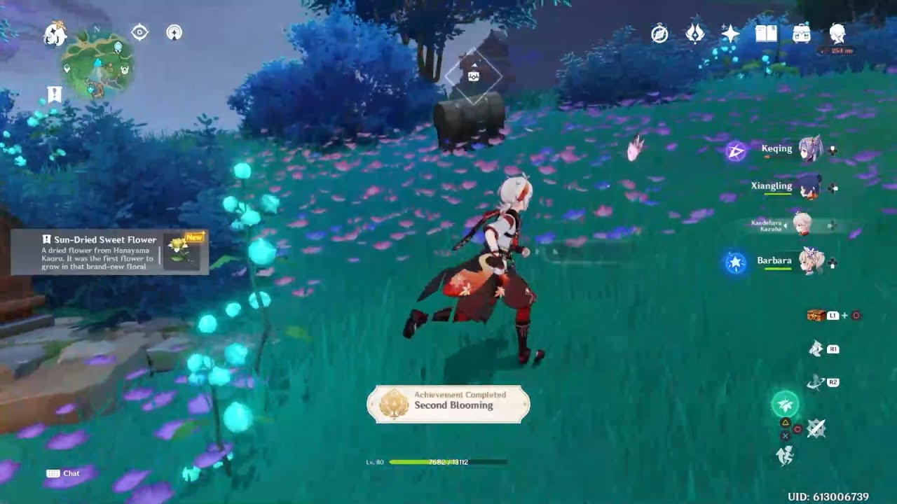 Second Blooming - Genshin Impact 2.0 Hidden Achievement