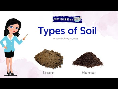 Types of Soil | Loam, Humus | Components of Soil | Properties of Soil | Soil Types | Science