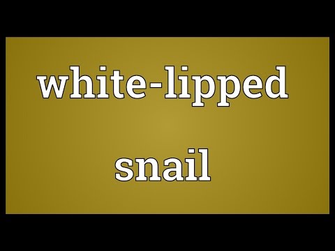 White-lipped snail Meaning