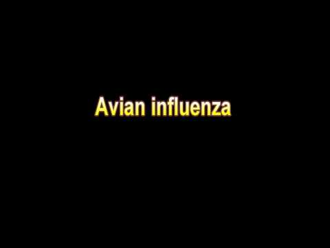 What Is The Definition Of Avian influenza Medical Dictionary Free Online