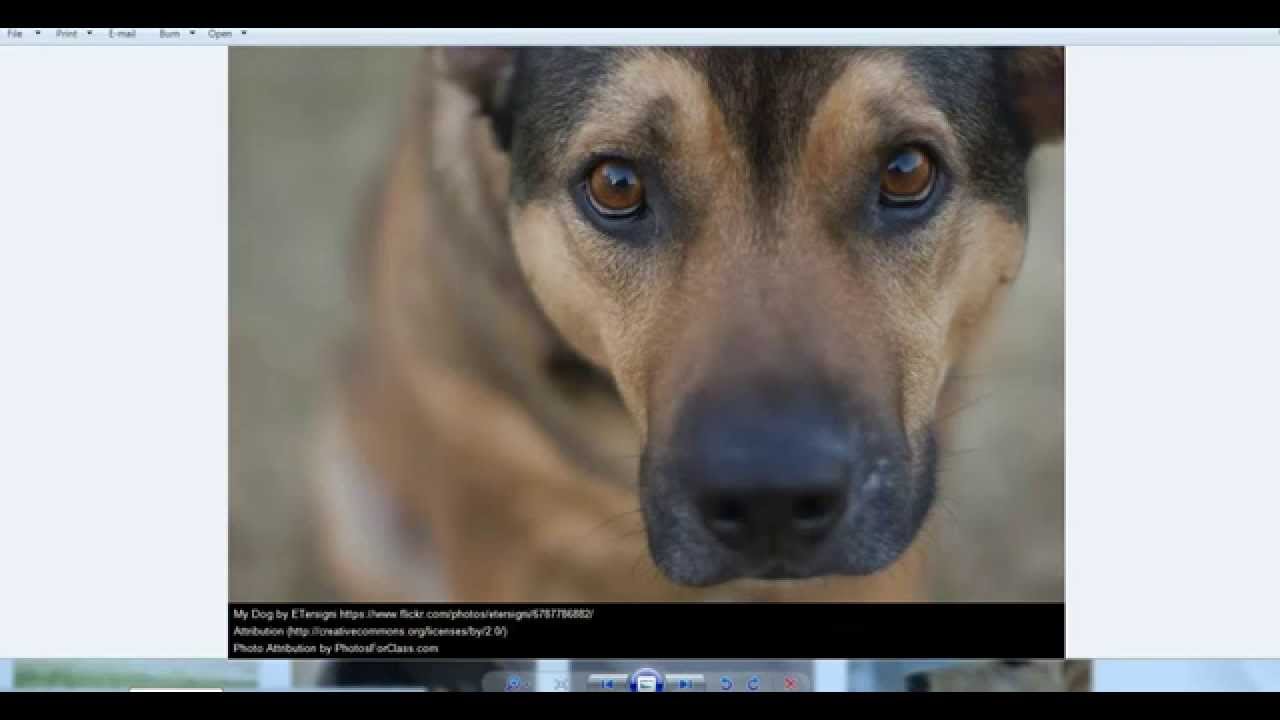 A Quick Way to Find Creative Commons Licensed Images