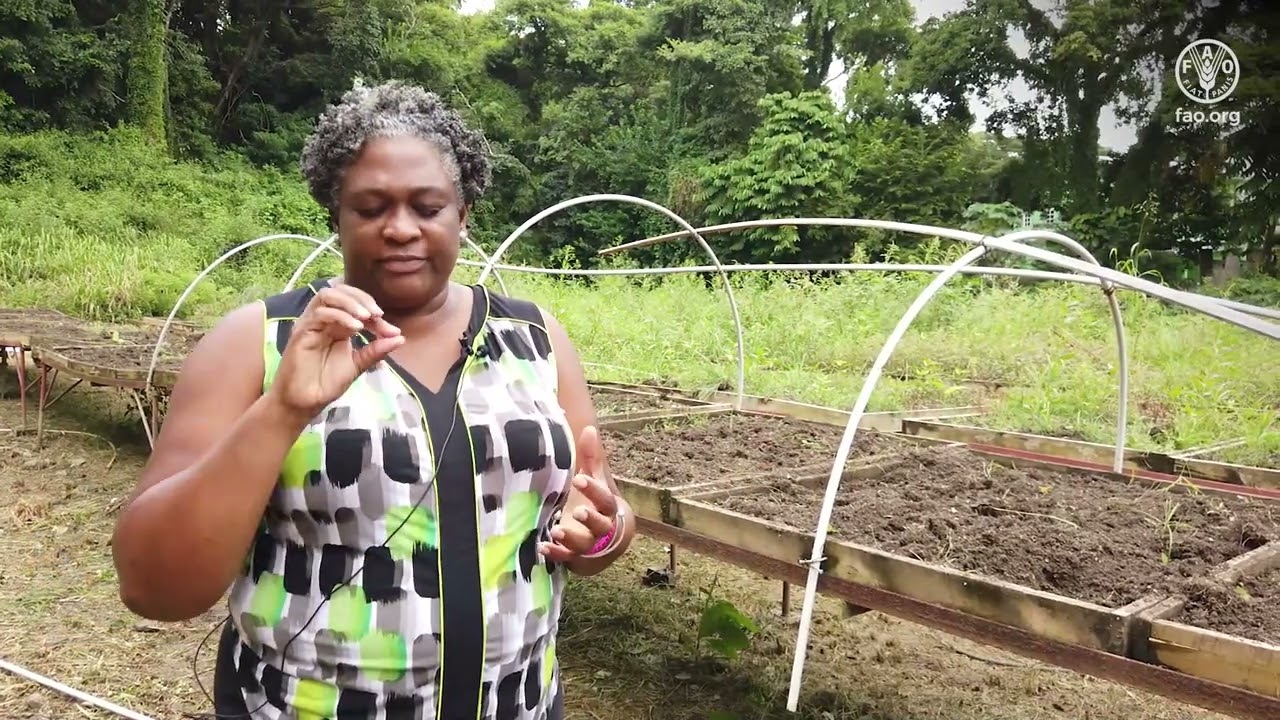 Climate Change Mitigation