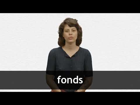 English Translation of “FONDS” | Collins French-English Dictionary
