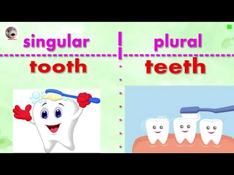 23 Irregular Plural Nouns Singular and Plural Nouns in English