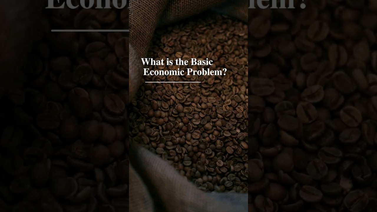 Understanding the basic Economic Problem| Simple explanation #economics #olevel