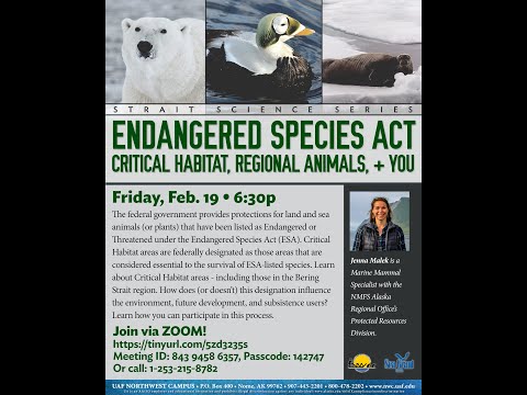 Endangered Species Act: Critical Habitat, Regional Animals, & You: Strait Science February 19, 2021
