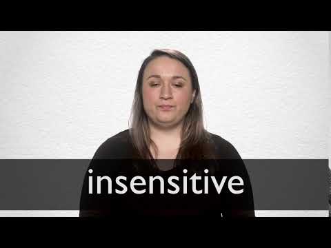 INSENSITIVE - Definition & Translations | Collins English Dictionary