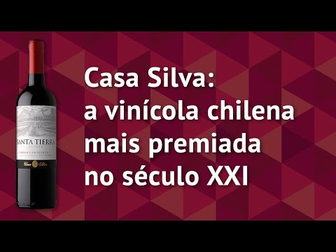 Vinho Santa Tierra Estate Cabernet Sauvignon 2014 • Chile