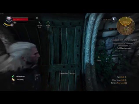 Steam Community :: Video :: The Witcher 3 Experience