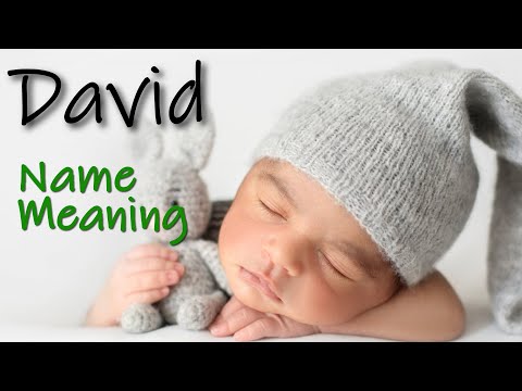 David | Name Meaning 👶🥰❤️