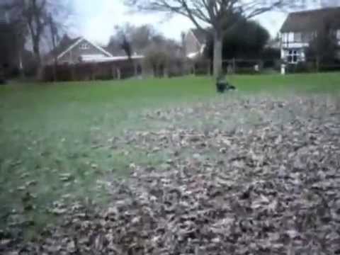 What happened in 2010