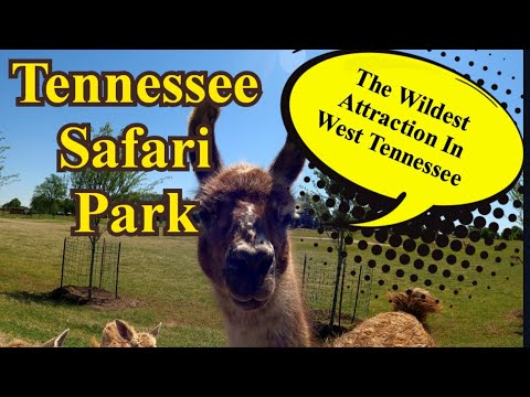 Tennessee Safari Park