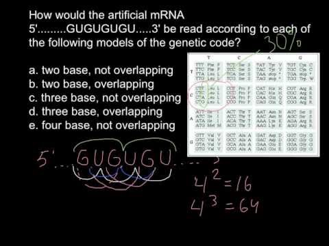 How message RNA is read: duplets, triplets or tetraplets?