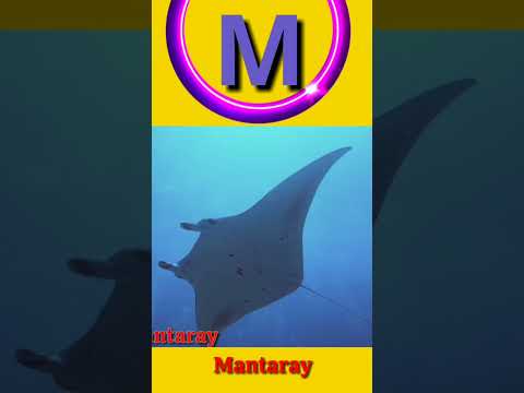 A to Z Aquatic Animals |A to Z Sea Animals with Picture|Aquatic Animals with pronunciation2#viral