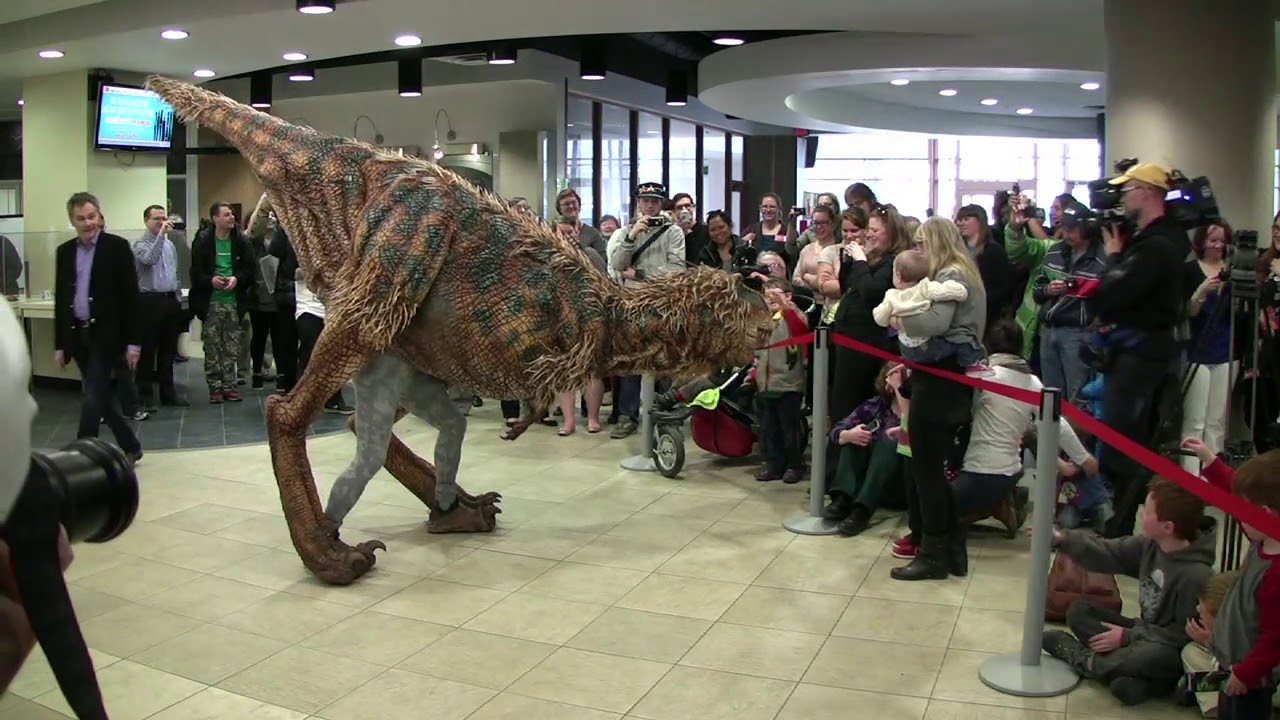 A baby T-rex visits the library