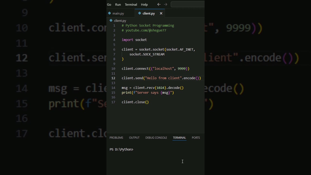 Python Sockets: Connect the Client in Under 60 Seconds! 🔌