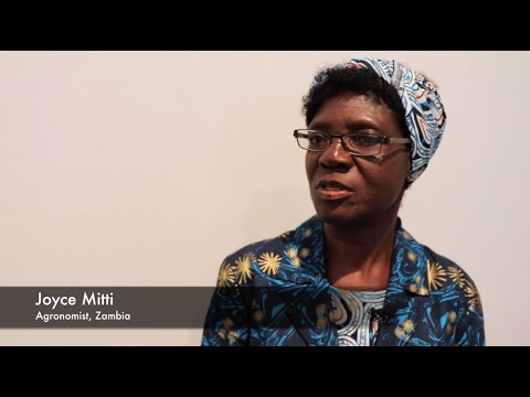 Factors affecting Climate Smart Agriculture adoption