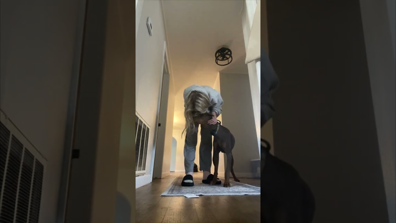 Playful Dog Nibbles Owner While She Was Talking About Her Nibbling Behavior