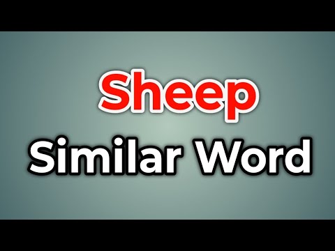 Sheep Similar Word || Synonyms of Sheep | Words Tube