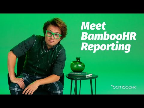 Making HR Data Easy To Understand | BambooHR