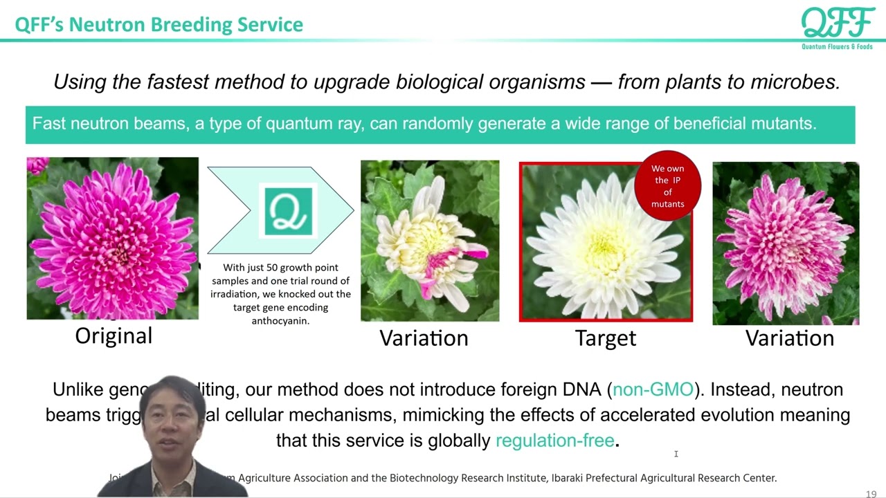 A Message from QFF's CEO & CTO