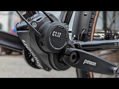 12 Speed Bike with Pinion Gearbox | PRIORITY 600