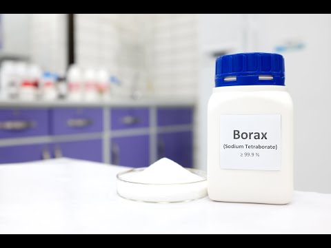 WATCH: Social media borax trend sets off alarms — but does boron really ...