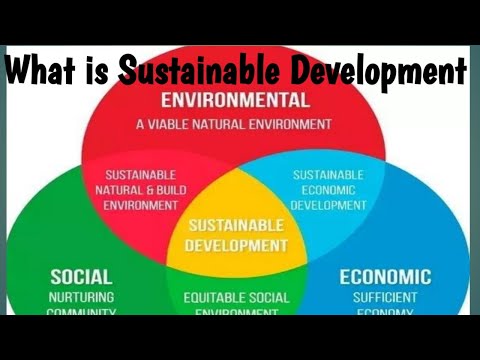 Sustainable Development in Hindi and Urdu || What is Sustainable Development
