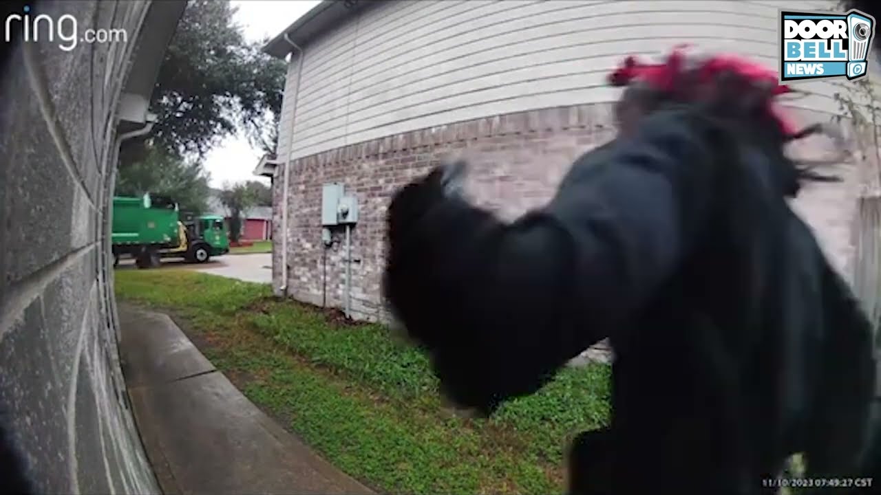 When You Forget It's Trash Night (Caught on Ring Cam)