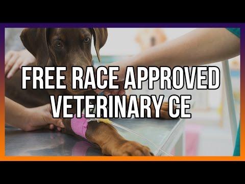Free RACE approved veterinary CE – Veterinary Continuing Education