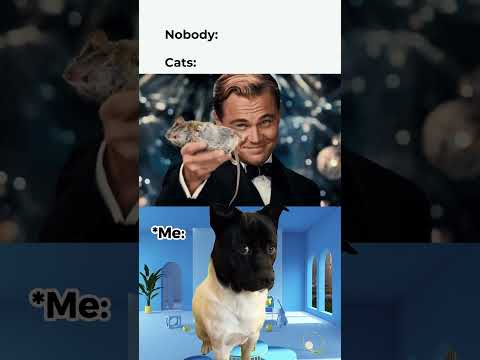 Funny memes - Thank you for the gift, but I really don't need it #shorts #viral #memes