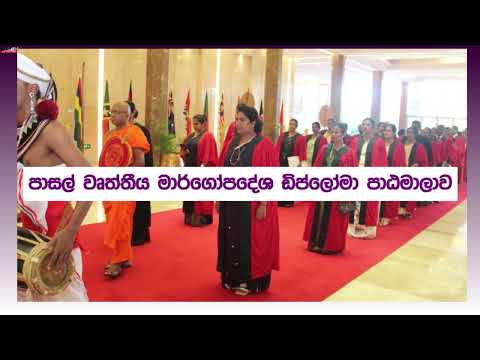 Diploma in School Career Guidance Promo