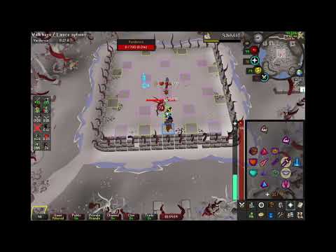 Vardorvis World Record 29.40 !!! - OSRS WR
