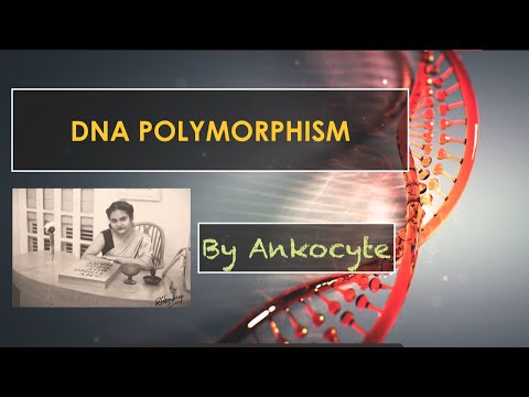 DNA Polymorphisms and its classifications