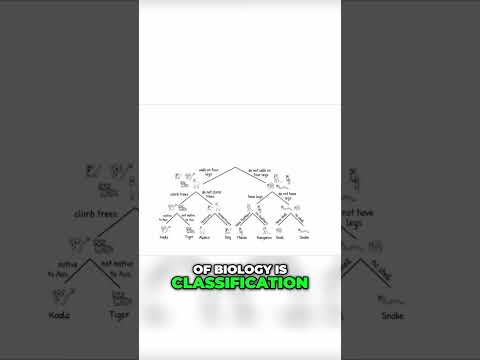 Constructing a Simple Dichotomous Key: Biology Classification Made Easy #classifying #organisms