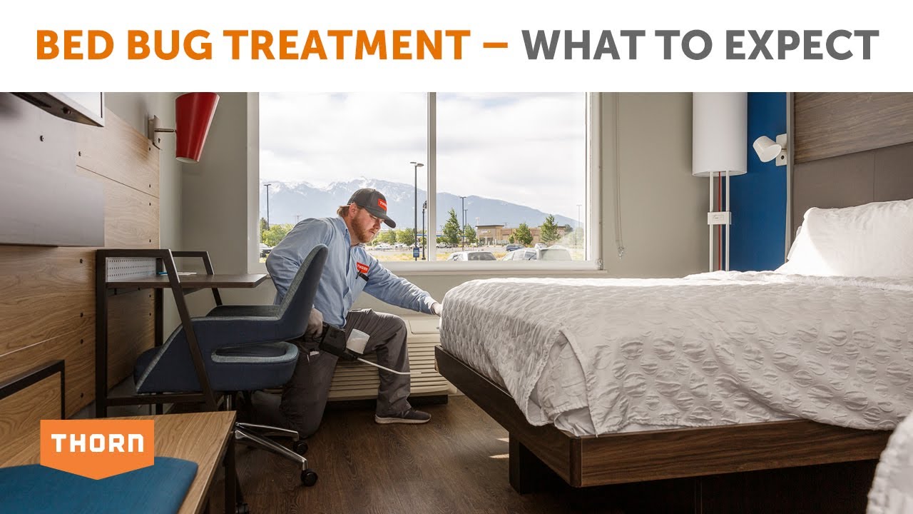 What to Expect with a Bed Bug Treatment