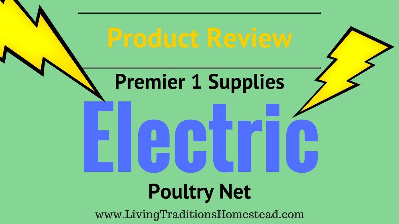 Premier 1 Electric Net Product Review