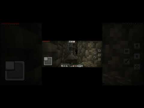 "I Hate Mobs that's Why Im Called Mob Phobic"