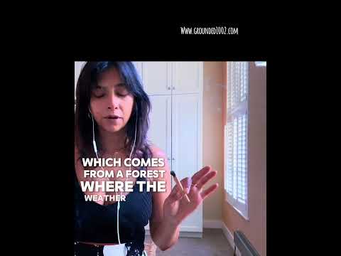 Do all Palo Santo smell the same?