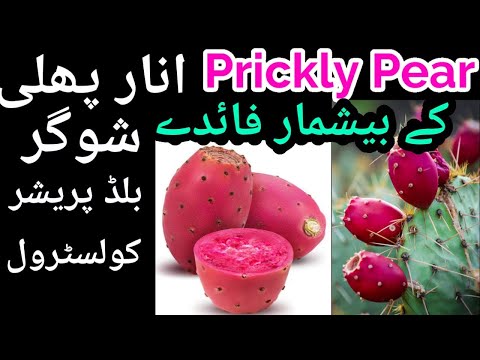 How to Eat Cactus Fruit (Prickly Pear)| Benefits of Prickly Pear | Anaar Phali Ky Fawaid Urdu/Hindi
