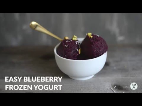 Blueberry Frozen Yogurt
