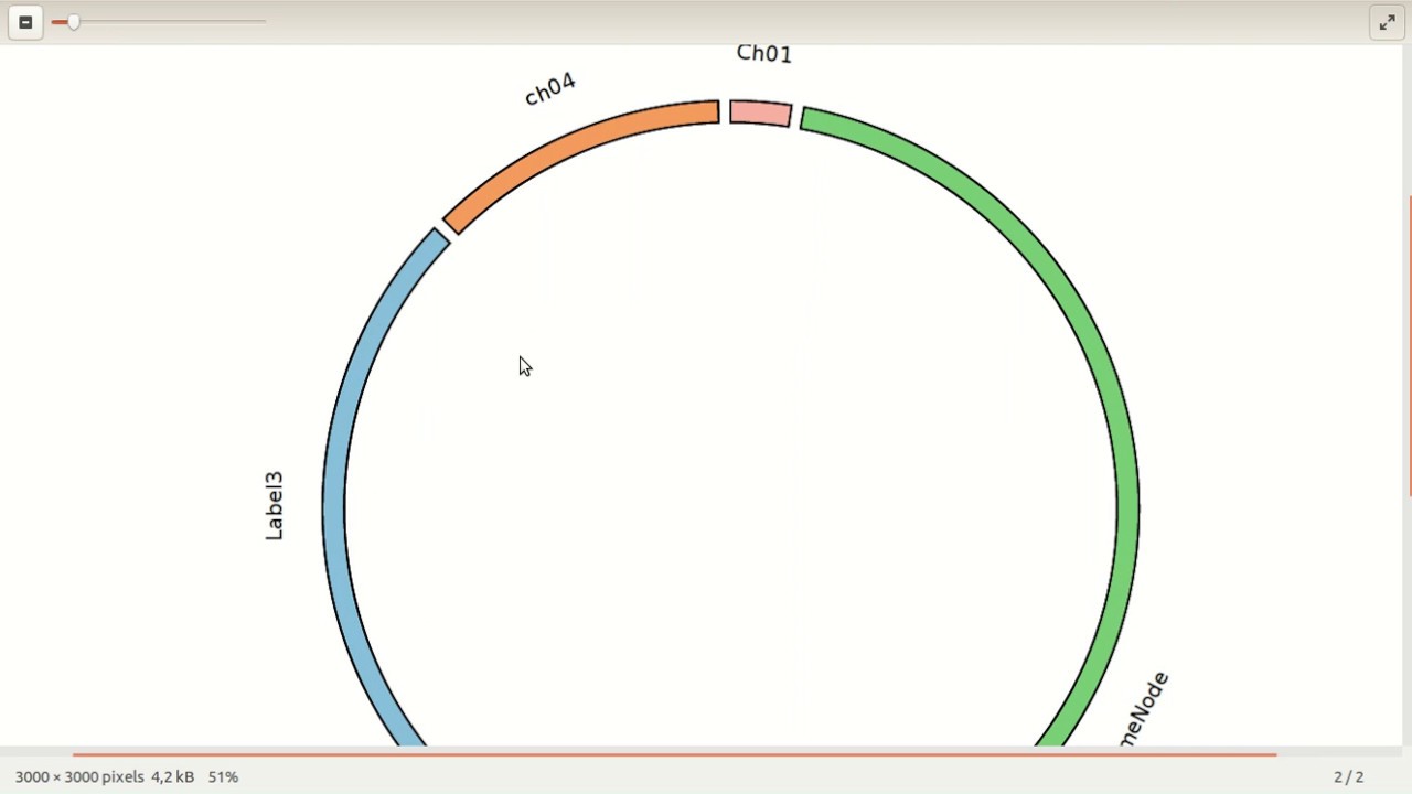 Circos basic configuration 01 - create nodes, karyotypes