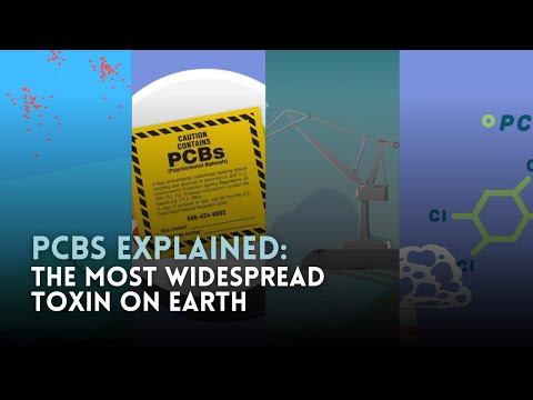 PCBs Explained: The Most Widespread Toxin on Earth